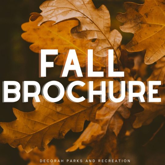 Decorah Now – Building Local Community Through Arts, Cultural, and ...